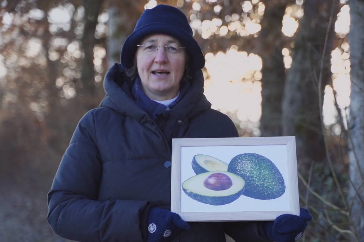 Zakaj s. Meta ne kupuje več avokada? | Radio Ognjišče